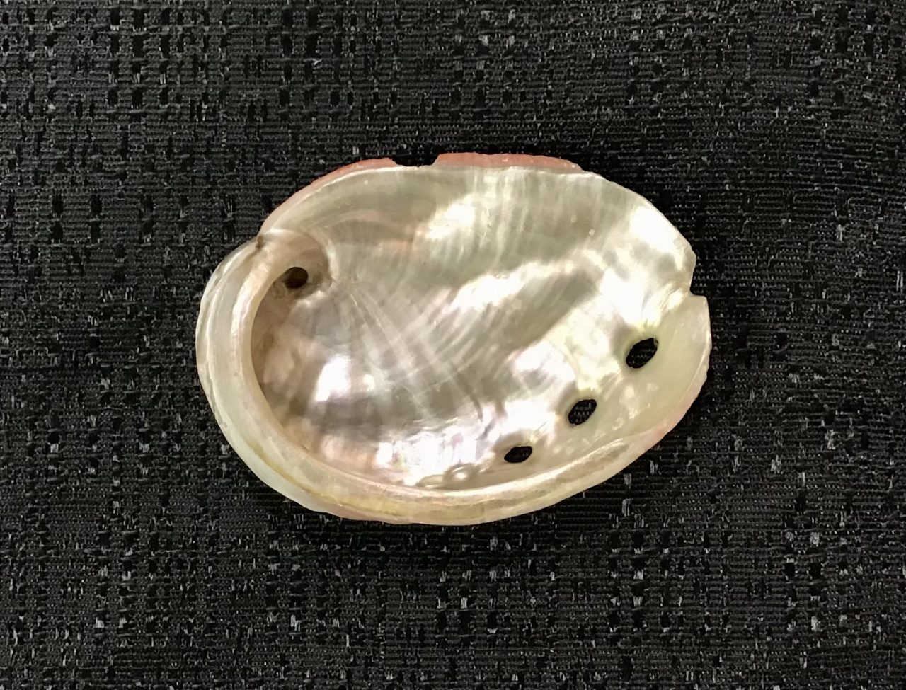 Shell - Legend Logos