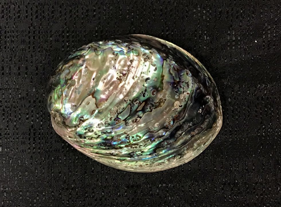 Shell - Legend Logos